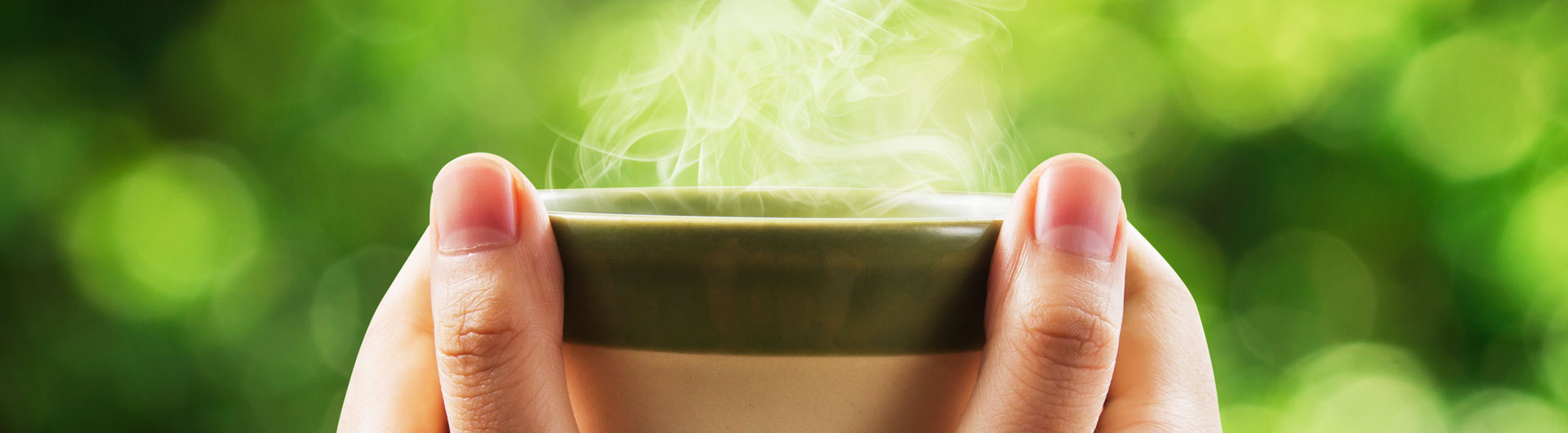 Spray Dried Tea Extracts - S & D
